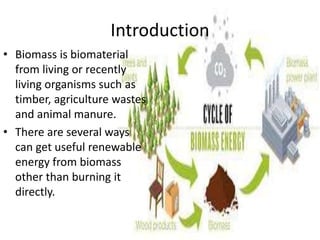 Biomass convert in to electricity by vimal priya subramanian | PPTX