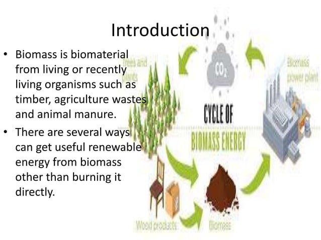 Biomass convert in to electricity by vimal priya subramanian | PPTX