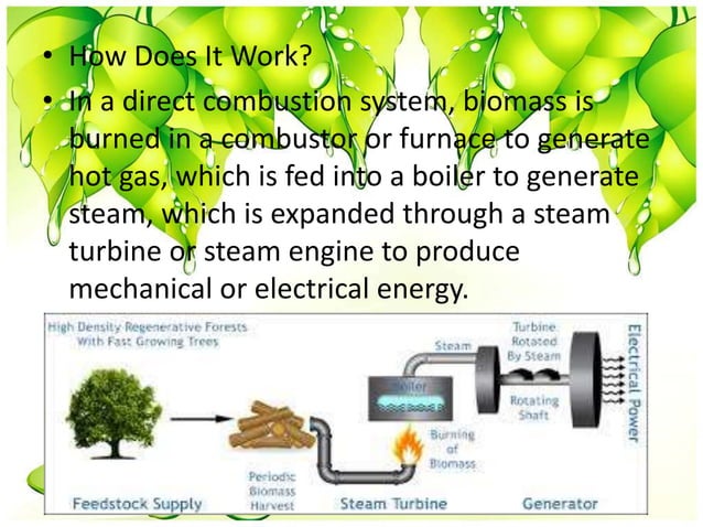 Biomass convert in to electricity by vimal priya subramanian | PPT