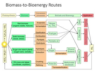 Biomass.ppt