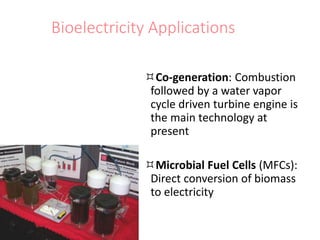 Biomass.ppt