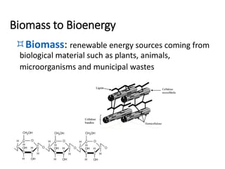 Biomass.ppt