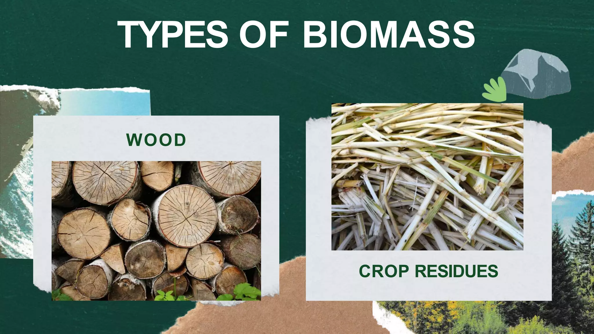 BIOMASS.pptx