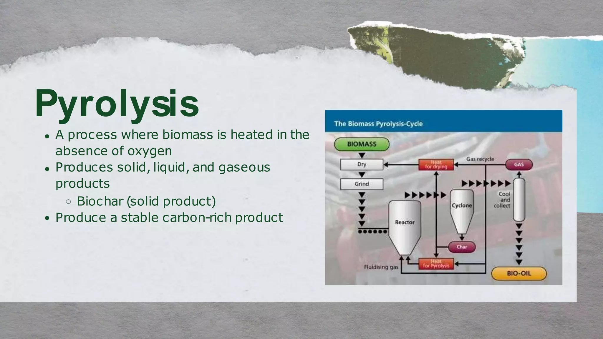 BIOMASS.pptx