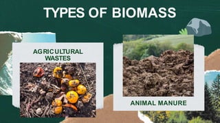 BIOMASS.pptx