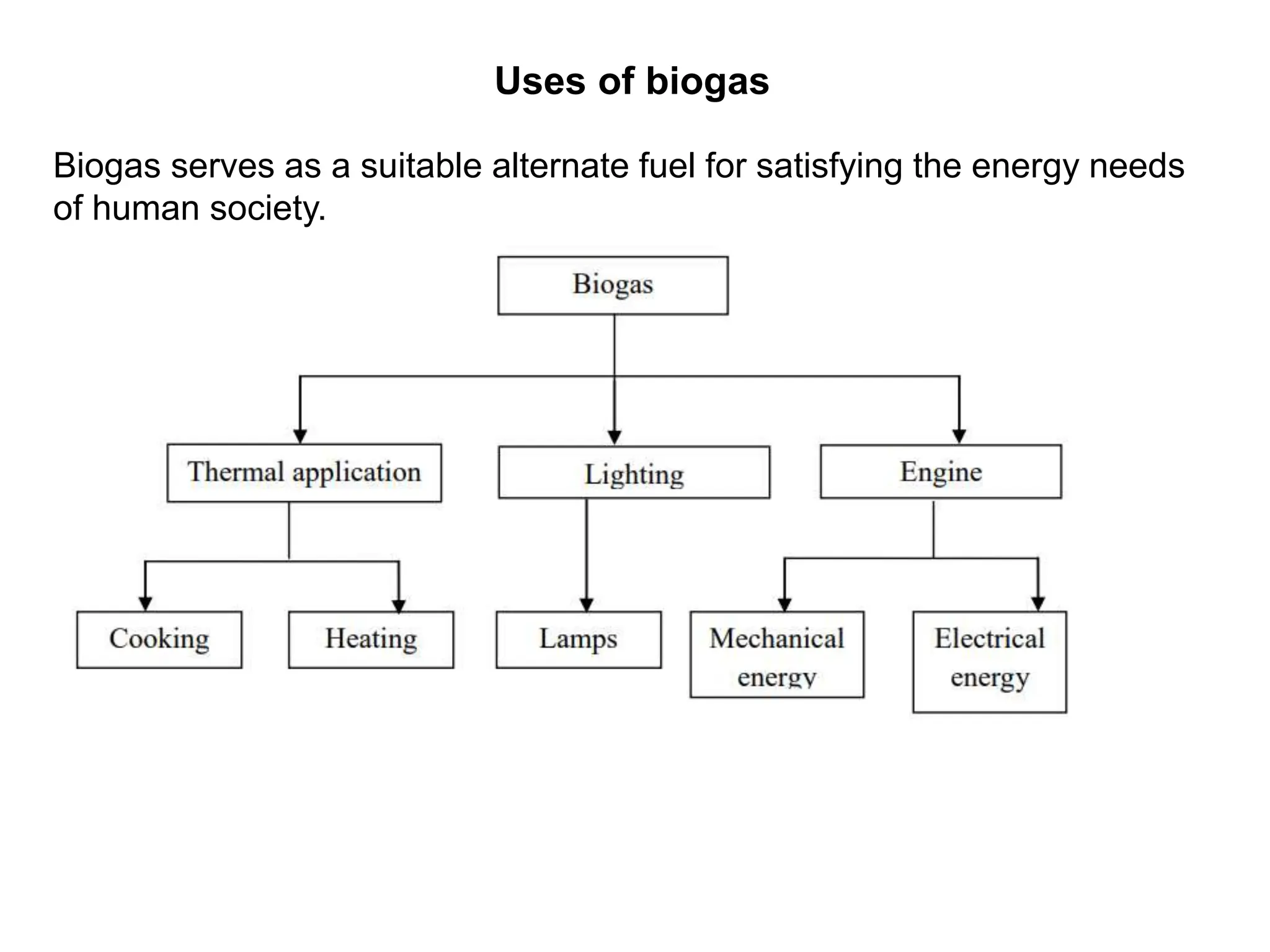 Biomass - Biogass.pptx
