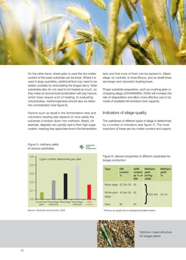 Biomass brochure-biogas-production-data | PDF