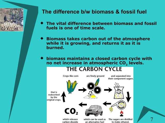 Biomass By Akash Kewal | PPT