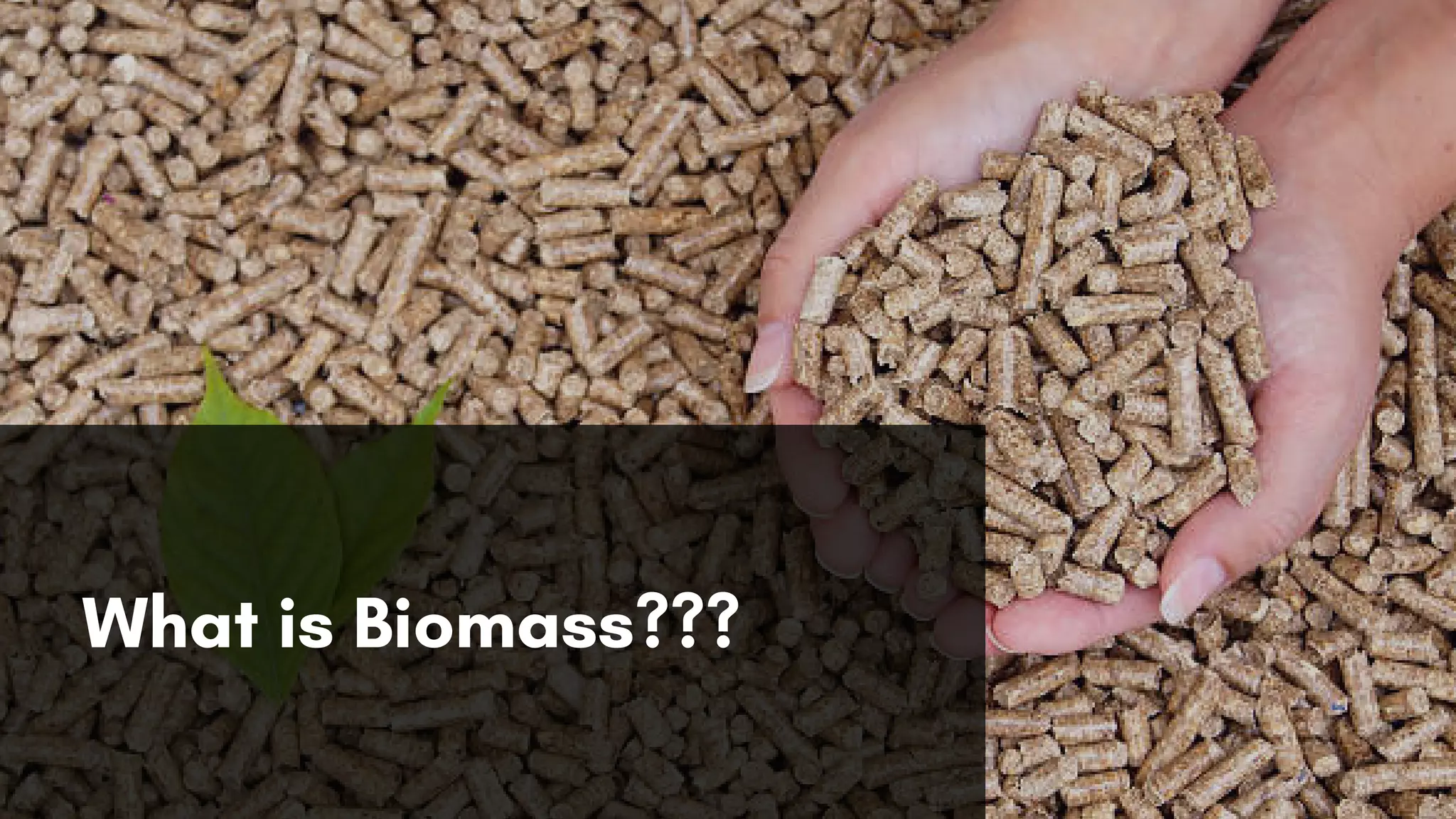 Biomass, A Clean Energy for A Clean World- Farm2Energy | PDF