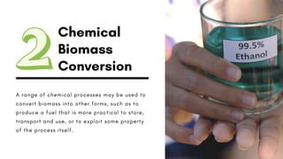 Biomass, A Clean Energy for A Clean World- Farm2Energy | PDF