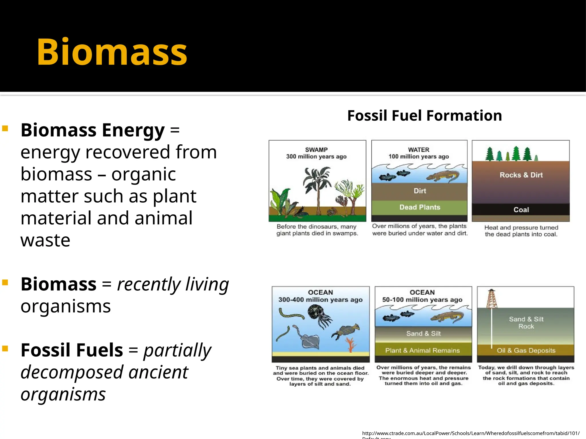 biomass-energy and renewable energy for future | PPTX