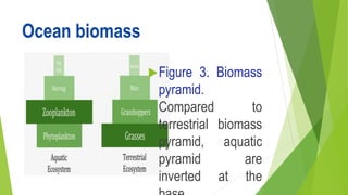 Biomass flow-presentationdb final | PPT