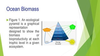Biomass flow-presentationdb final | PPT