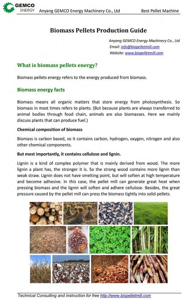 Biomass Pellets Production Guide | PDF