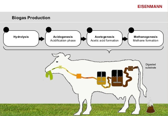 High Solids Anaerobic Digestion - International Biomass 2013