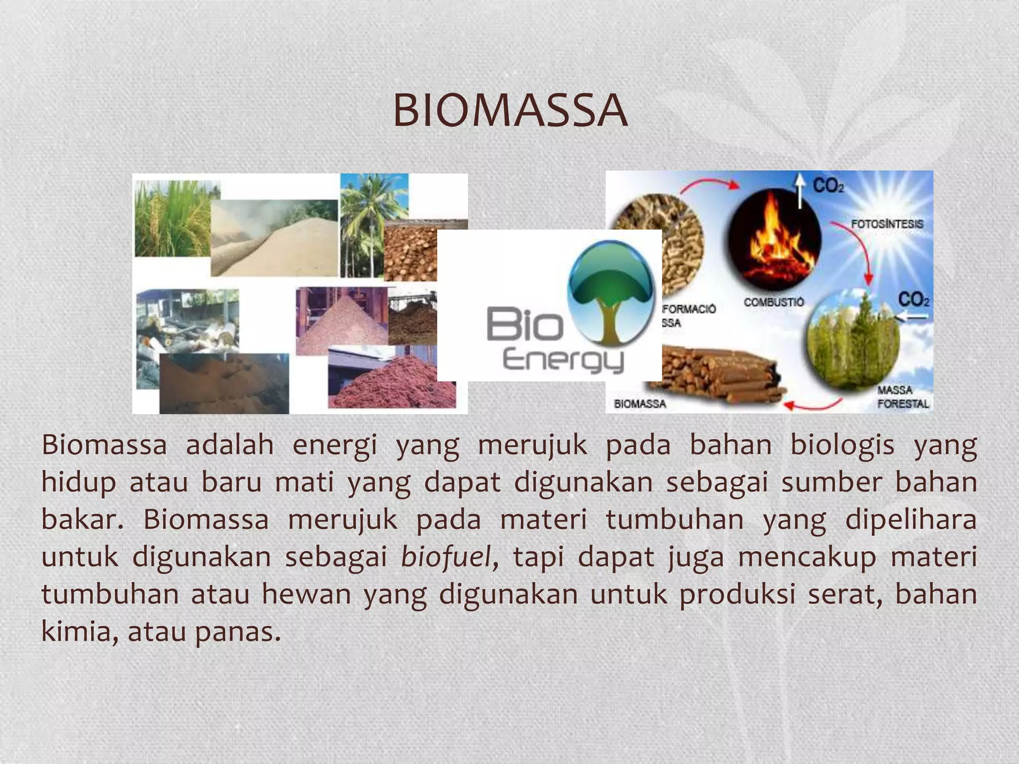 Biomassa | PPTX