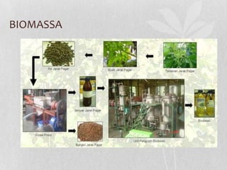 Biomassa | PPTX