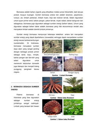 Biomassa | DOCX