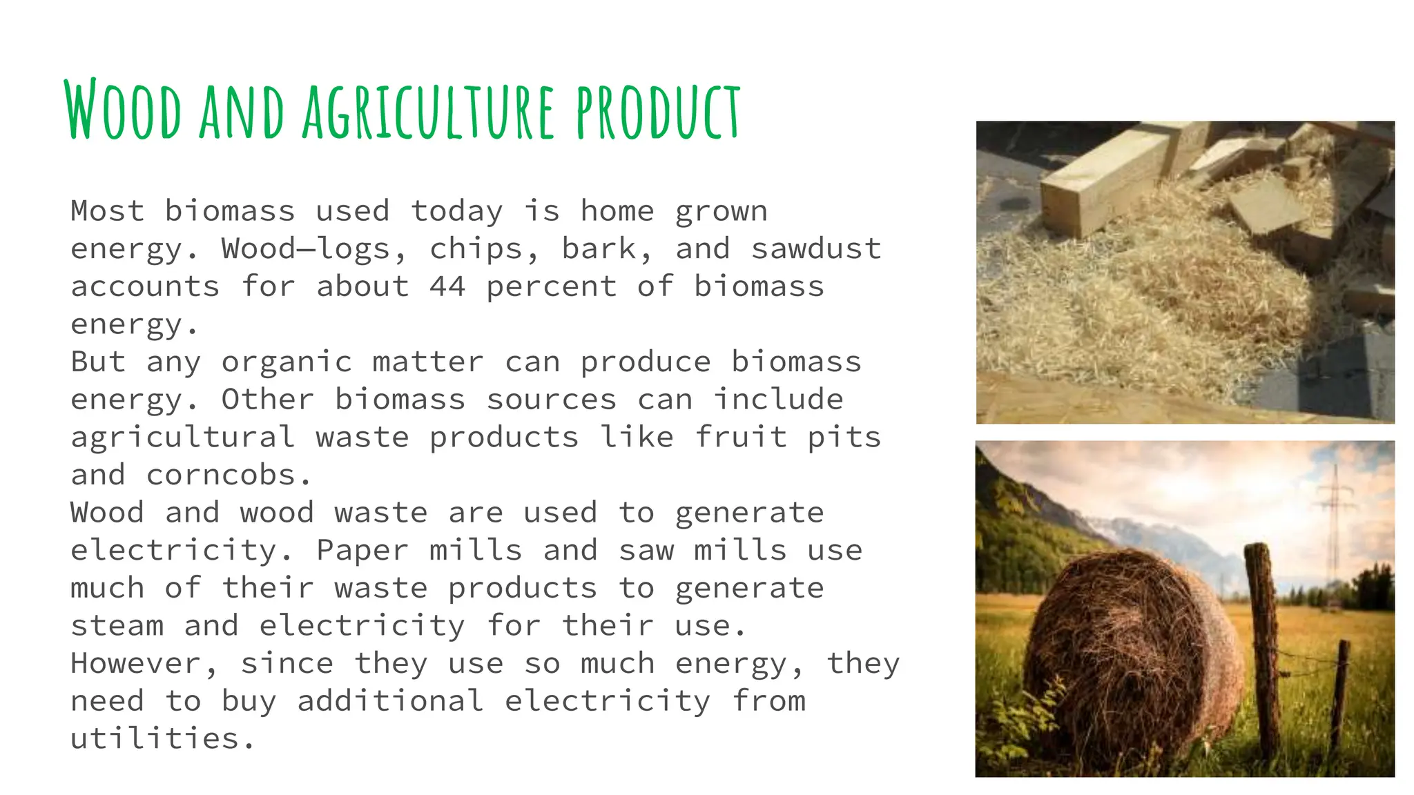 Importance of Biomass and biofuels in environment.pptx
