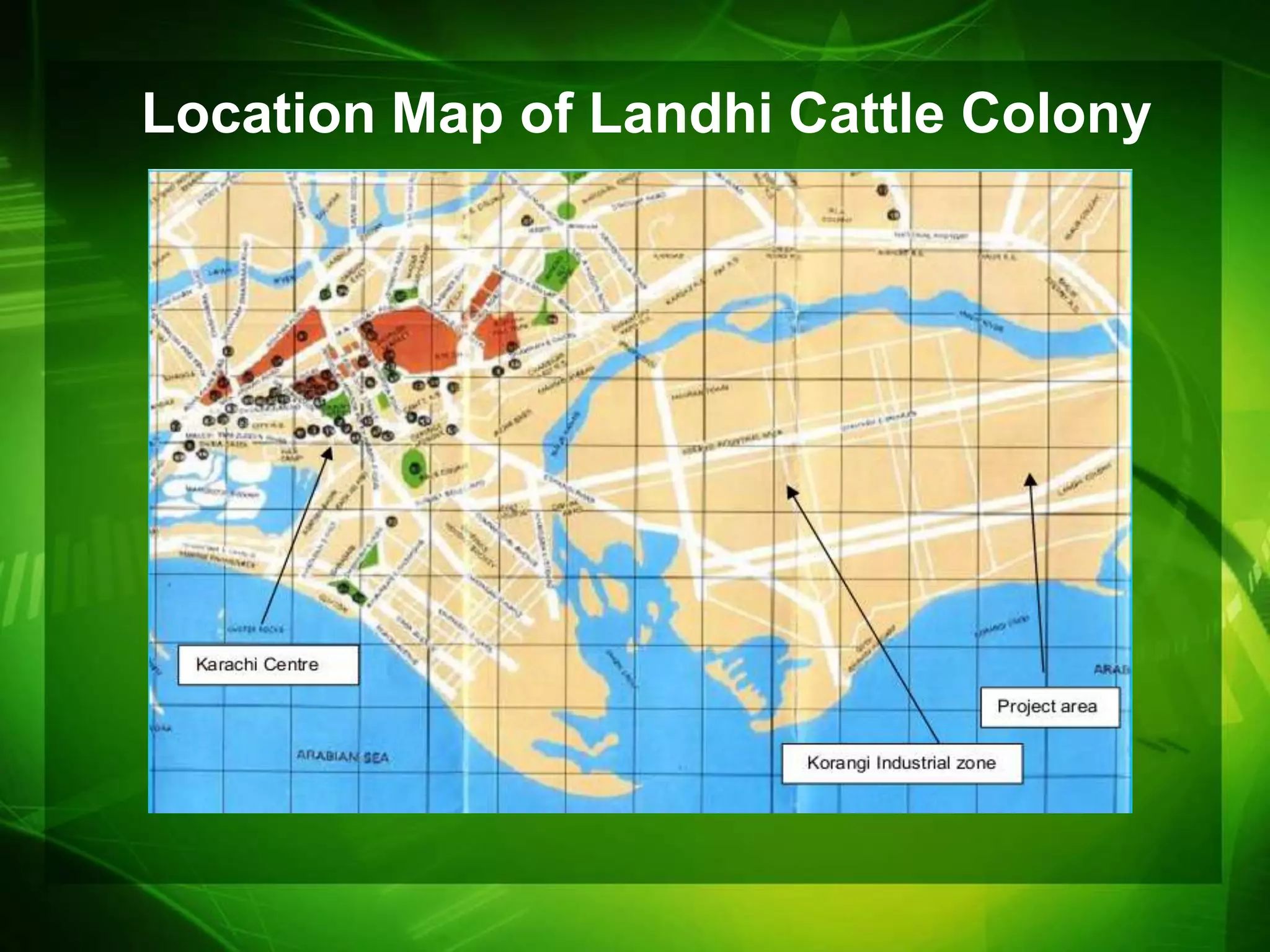 BIOMASS as renewable energy resource | PPTX