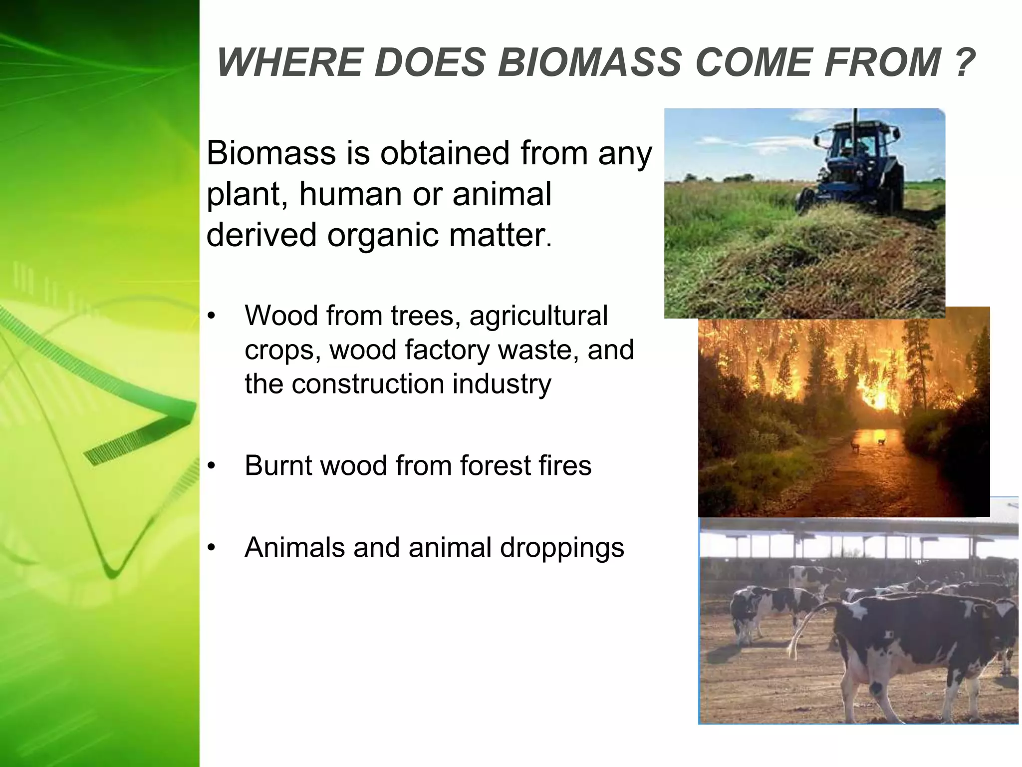 BIOMASS as renewable energy resource | PPTX