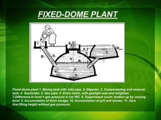 BIOMASS as renewable energy resource | PPTX