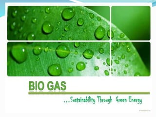 Bio Energy Resources | PPTX