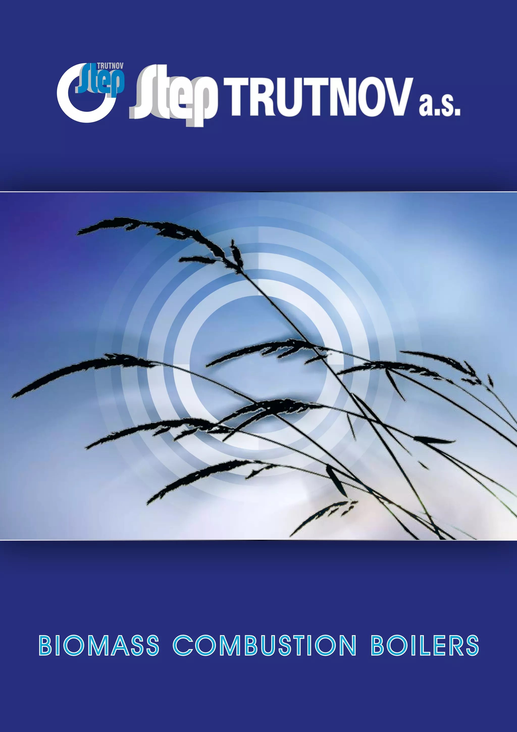 Biomass combustion boilers | PDF