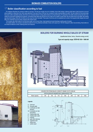 Biomass combustion boilers | PDF