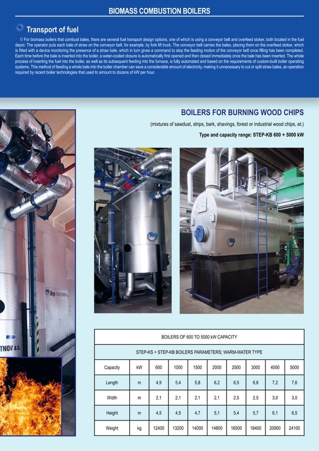 Biomass combustion boilers | PDF