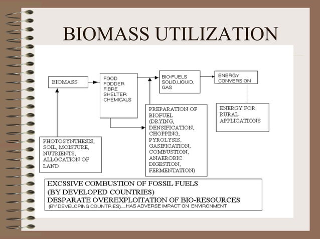 Biomass Conversion methods for Energy | PPT