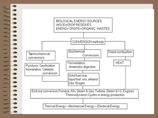 Biomass Conversion methods for Energy | PDF