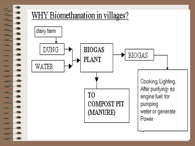 Biomass Conversion methods for Energy | PDF