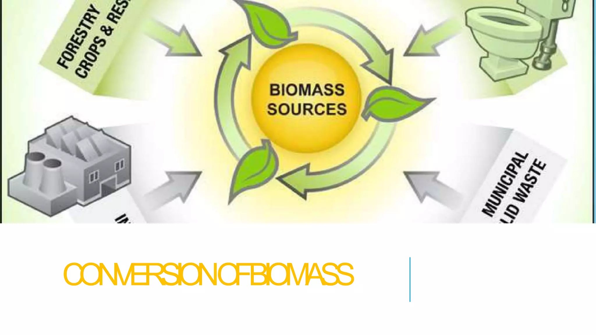 Biomass Conversion Process.pptx