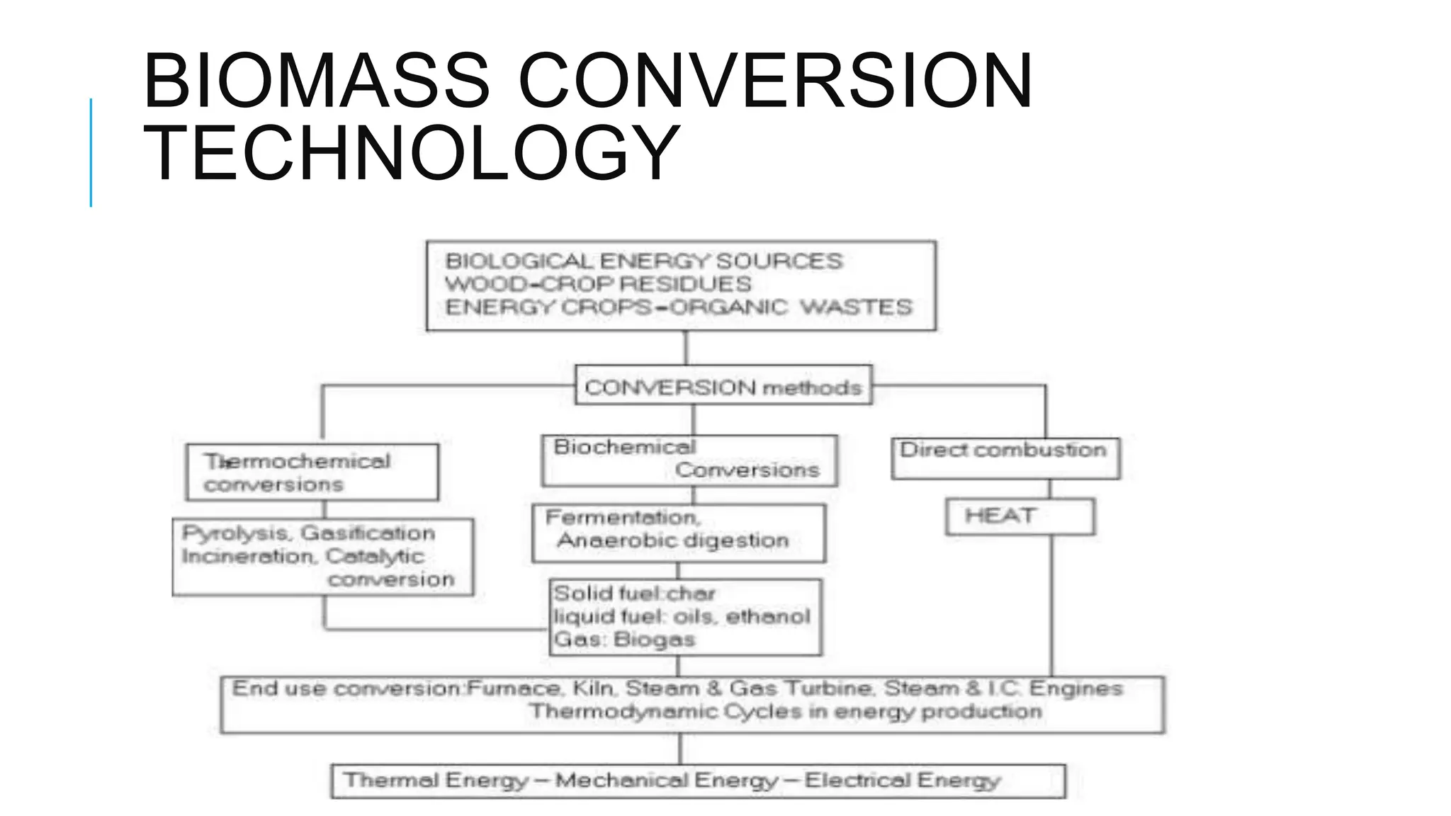 Biomass Conversion Process.pptx