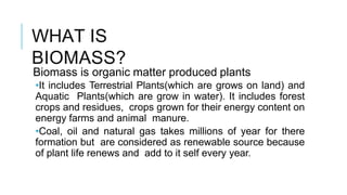 Biomass Conversion Process.pptx