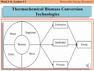 Biomass conversion technologies renewable energy resources | PDF