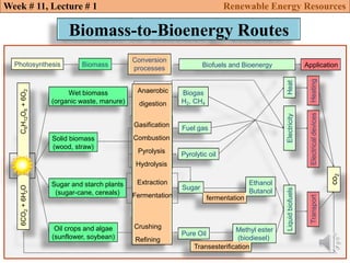 Biomass conversion technologies renewable energy resources | PDF