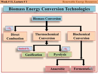 Biomass conversion technologies renewable energy resources | PDF