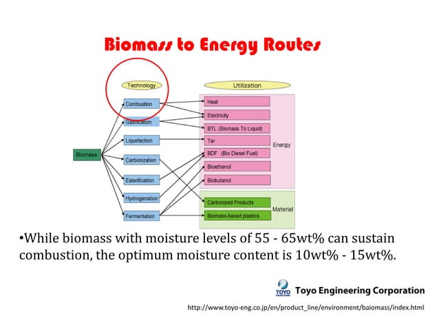 Biomass drying for combustion | PPTX | Chemistry | Science