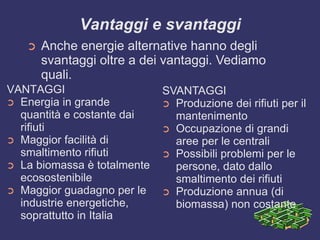 Biomasse | PPTX