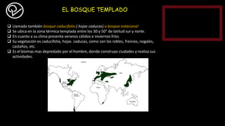 BIOMAS concepto, clasificacion, importancia | PPTX