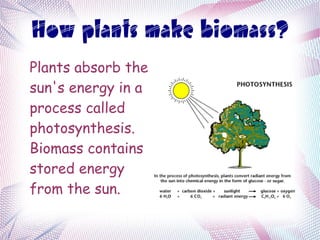 Biomass energy | PPT