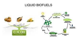 Bio mass Energy | PDF