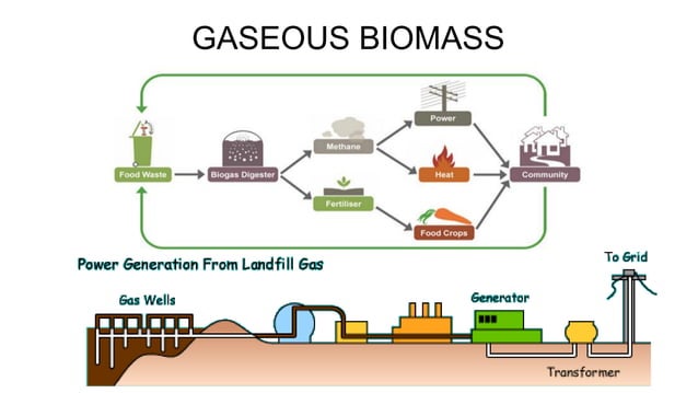 Bio mass Energy | PDF