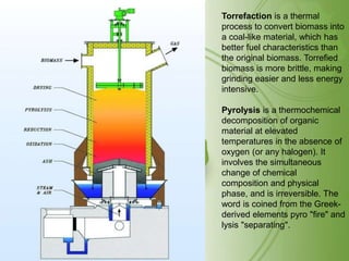 Biomass energy | PPTX