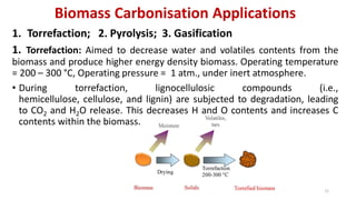 Biomass Energy definition and application | PDF