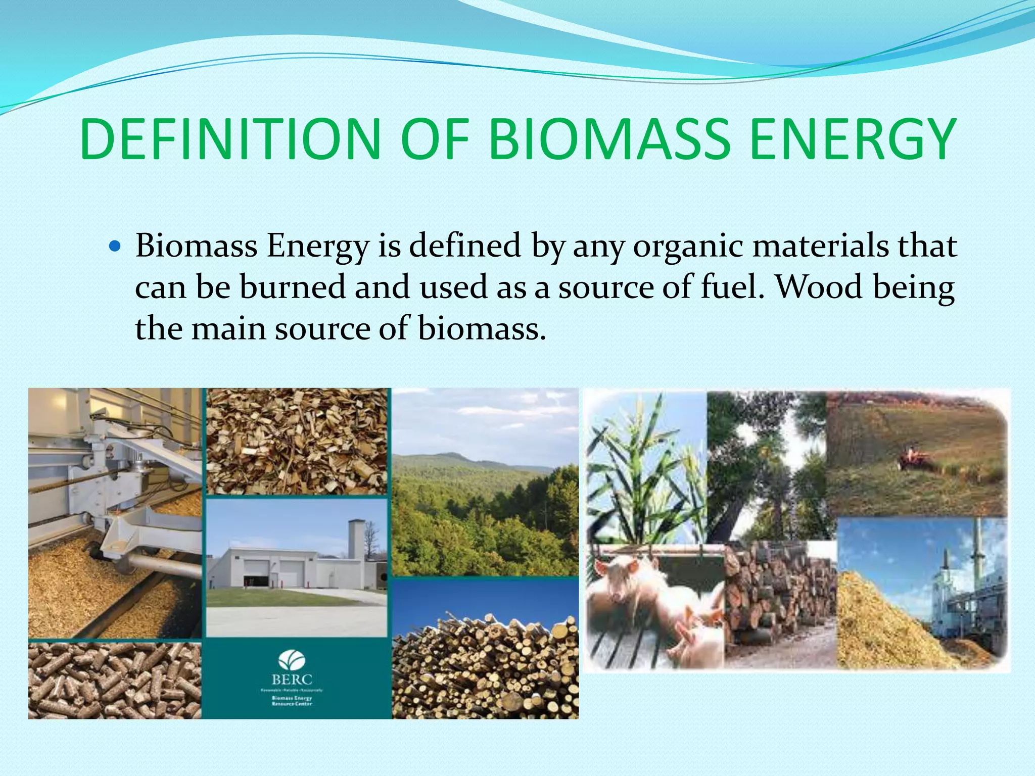 Biomass Energy by Álex Ferreirós | PPTX