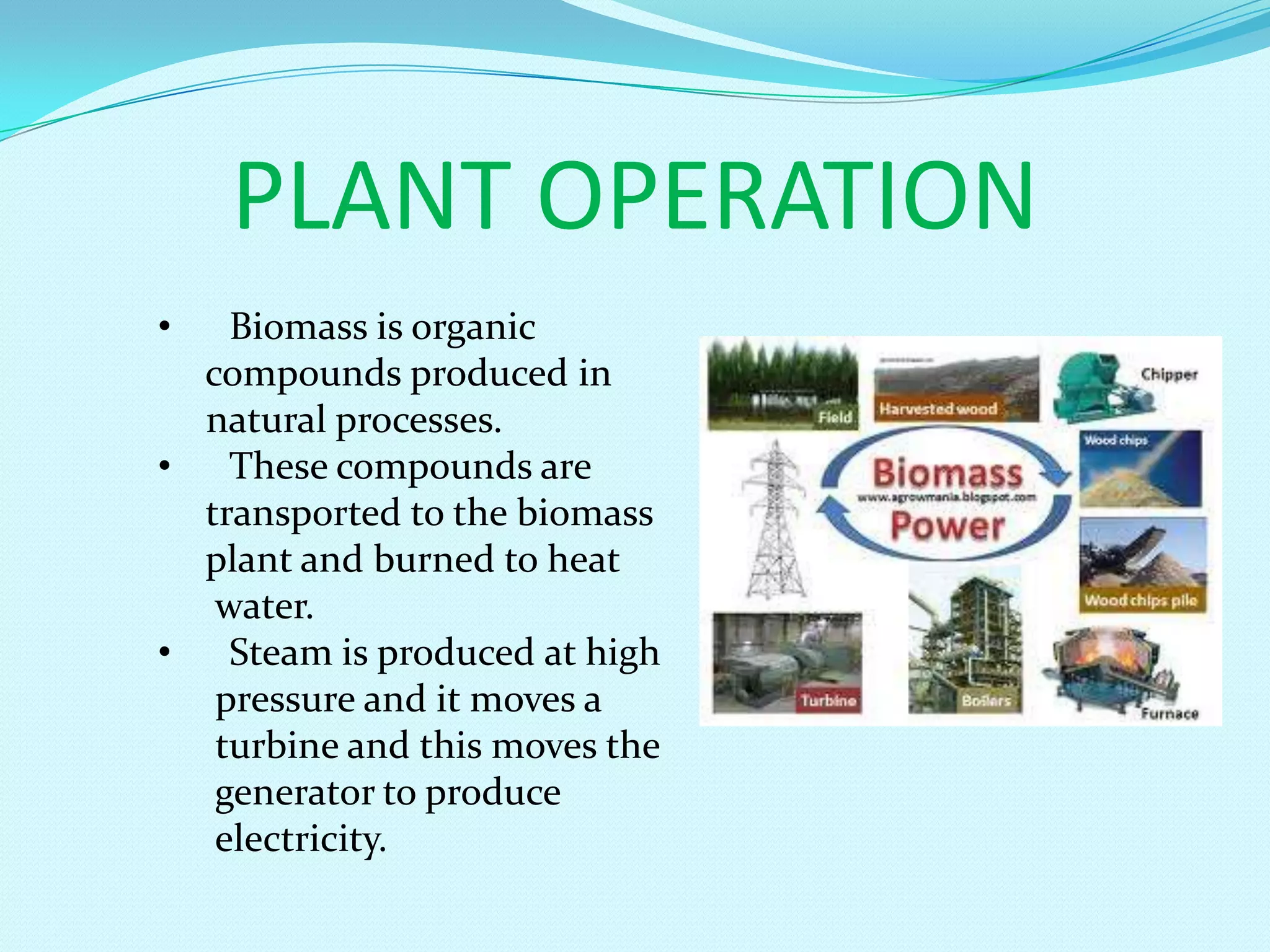 Biomass Energy by Álex Ferreirós | PPTX