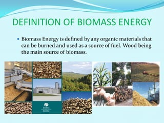 Biomass Energy by Álex Ferreirós | PPTX